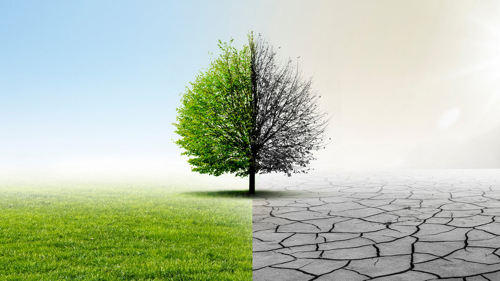 Assessing Changes in a Resident's Condition — Altura Learning